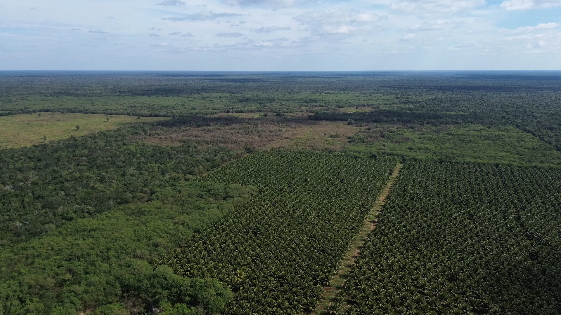 Selvika, tierra de los cuatro elementos